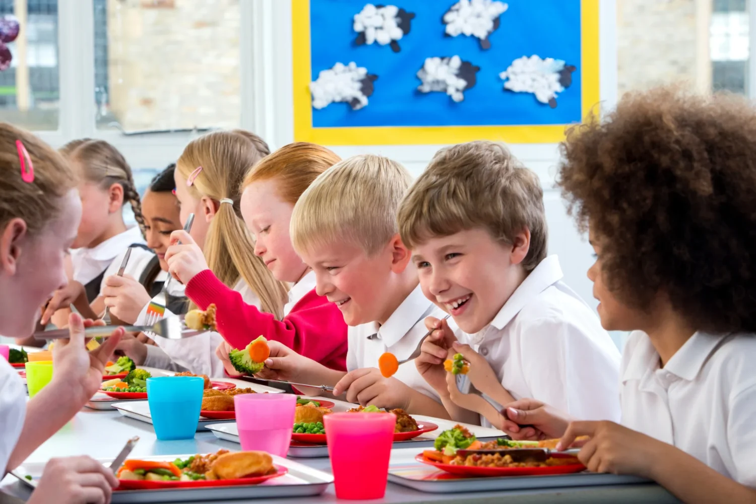 School Dinner Catering | Cawley Catering, Galway